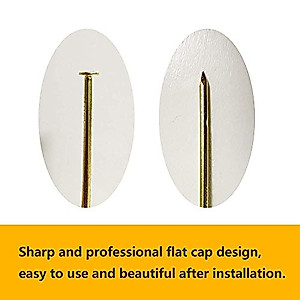 Tuplip Fe- Nails 1-1/2''inch x 14 Gauge (290pc), Flat Head Nails Hardware (38mm), Brass Plated Gold Nails for Hanging Pictures/Wood/Plaster and Concrete Wall/Carpentry/Photo/Frame/Art DIY