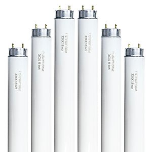 18 Inch F15T8/WW Replacement Bulb Compatible Philips Alto ECO GE Staco Light Fixture, T8 Fluorescent Bulb 15 Watt 3000K, 900 Lumens 6 Count