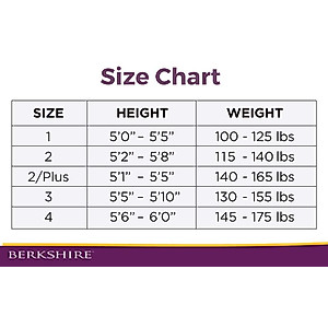 Berkshire womens Shimmers Ultra Sheer Control Top 4429 pantyhose, Silver, 3 US