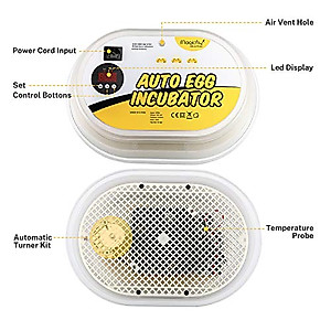 Magicfly Mini Egg Incubators for Hatching Eggs, with Automatic Egg Turning, 9-12 Eggs Hatching Incubator for Chickens, Ducks, Goose, Birds