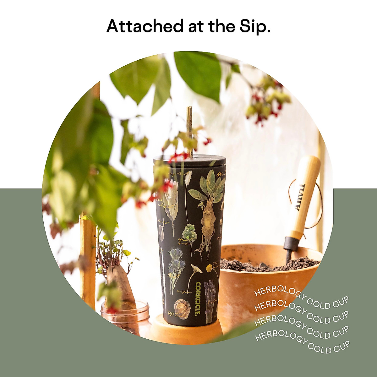 Corkcicle x Warner Brothers Harry Potter Herbology Cold Cup Insulated Tumbler with Lid and Straw, 24 oz – Water Bottle Keeps Drinks Cold 12hrs, Hot 5hrs – Cupholder Friendly, Flexible Sipping Lid