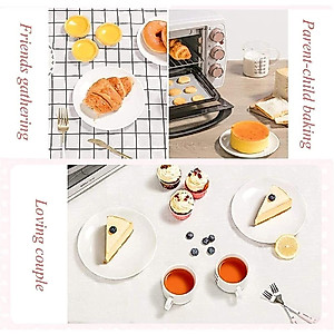 Tabletop Electric Oven 20L Multifunctional Small Oven Bread Baking Machine 1200W Includes Grilled Net, Enamel Pickup Clamp and Baking Pan