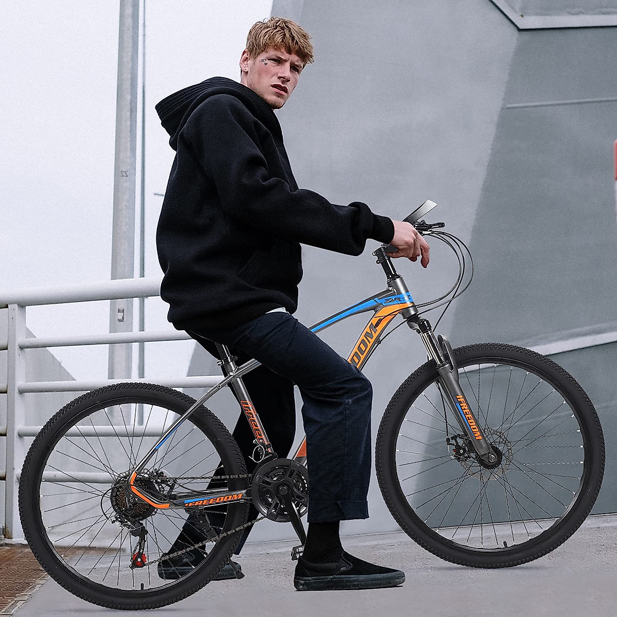 26'' Mountain Bike, 21 Speed Outdoor Snow Beach Bike, Full Suspension Adult Hybrid MTB Racing Bikes for Women Men, Comfort Complete Cruiser Bicycle, Lightweight City Commuter Road Cycling (N)