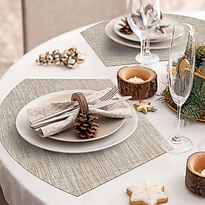 SHACOS Large Size Wedge Shape Placemats with Centerpiece Round Mat Set of 5 Round Table Place Mats Washable Dining Table Placemats Reversible, Beige