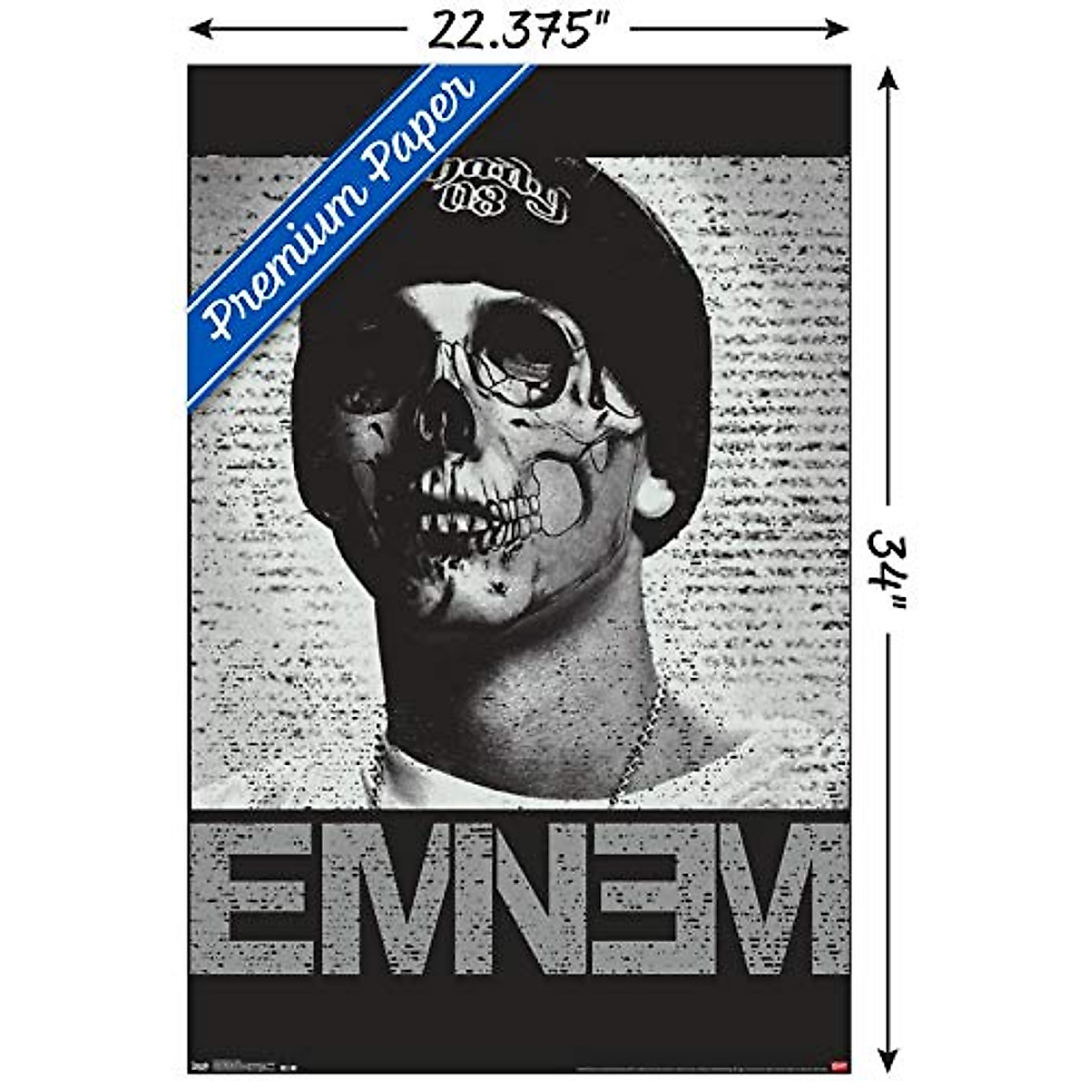 Trends International Eminem - Skull Wall Poster, 22.375" x 34", Premium Unframed Version