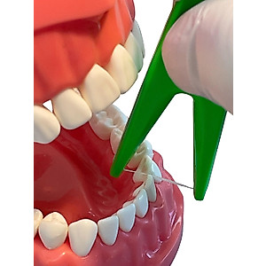 E-Z Floss Dental Floss Holder (Purple, Orange, Pink)