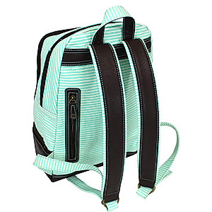 CHALA New Deluxe Striped multipurpose-backpacks with detachable Key Charm, fit up to 14" Laptop for Adult (Teal Stripe_ Sea Turtle)