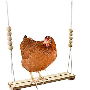 Colcolo Wooden Chicken Swing Birds Parrots Perch Chicken for Bird Budgie Conure Poultry Parrot