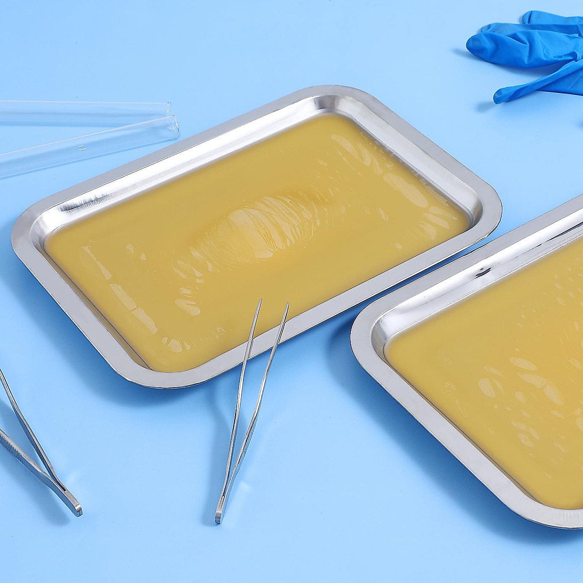 6Pack Premium Aluminum Dissection Pan with Wax, Disection Trays for Laboratory - Students - Science Experiments, 7" W 10" L