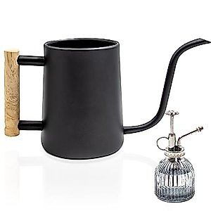 Watering can Indoor Plants,Indoor Watering Can for Plant,35 oz/1000 ml Stainless Steel Watering can Long Spout with Small Vintage Glass Plant Spray Bottle(Black)