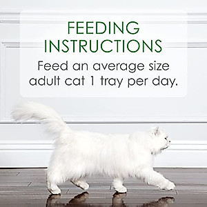 Fancy Feast Purina Gravy, Grain Free Wet Cat Food Complement, Appetizers White Meat Chicken & Flaked Tuna - (10) 1.1 oz. Trays