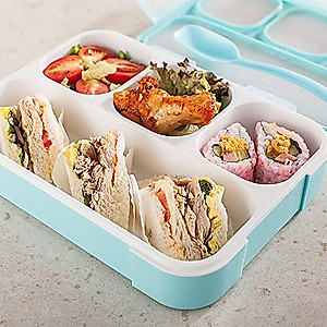 Dporticus 2 Pack Plastic Portable 4 Compartments Leak-proof Bento Lunch Box with Spoon for Adults BPA Free Microwave Safe,Blue