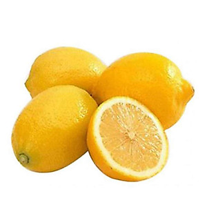 20pcs/Bag Lemon Tree Seeds Plants Fruit Seeds High Survival Rate Fruit Tree Seeds Plant for Home Garden Backyard