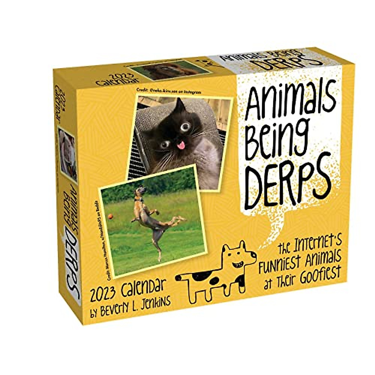 Animals Being Derps 2023 Day-to-Day Calendar: The Internet's Funniest Animals at Their Goofiest