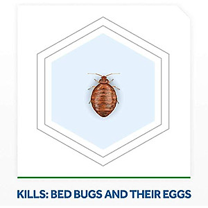 Raid Max Foam Bed Bug 17.5 Ounce (Pack of 3)