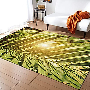 Area Rug 2' x 3' Palm Leaf Carpet Tropical Plants Sunshine Floor Mat Non Slip Runner Rectangle Rugs for Living Room Bedroom