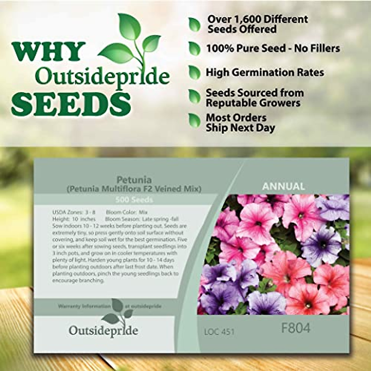 Outsidepride Petunia Multiflora Veined Indoor House Plants Or Outdoor Container, Basket, or Pot Flowers - 500 Seeds