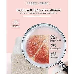 BNYEE Freeze Dried Cat & Dog Treats – 250g Freeze Dried Chicken+Duck+Fish 3 in 1 Meat Snacks - High Protein, Bite-Sized, Training Treats Snacks