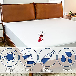 Flash Furniture Capri Comfortable Sleep Premium Fitted Waterproof, Vinyl Free Mattress Protector - Comfortable, Breathable, Quiet, Quilted Fabric Protection - Queen ,White