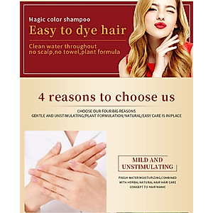 Maani Coconut Oil Hair Color Shampoo, Light Brown, 500 ML: Instant Fast Acting Long Lasting Hair Color Shampoo for Gray Hair, Nourishing, ShiningLong Lasting