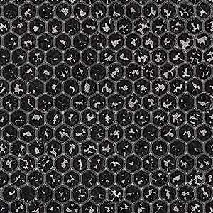 Bissell Replacement Carbon Filter air400, 2520, Black