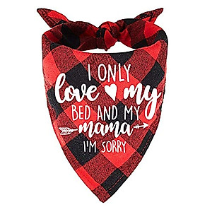 YROVWENQ Family Kitchen Funny Cute Red Plaid Pet Dog Cat Bandana Scarf, I Only Love My Bed and My Mama Puppy Dog Scarf Bibs Accessories for Pet Birthday Gift