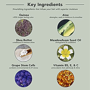 FRAMESI Color Lover Moisture Rich Sulfate Free Shampoo with Quinoa & Aloe Vera, Color Treated Hair, Fresh, 16.9 Fl Oz