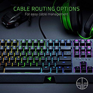 Razer BlackWidow Mechanical Gaming Keyboard: Green Mechanical Switches, Tactile & Clicky, Chroma RGB Lighting, Anti-Ghosting, Programmable Macro Functionality