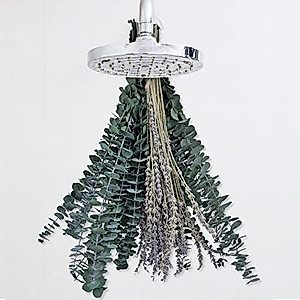125 PCS Preserved Dried Eucalyptus Stems Bundles with Dried Lavender for Shower, 17'' Natural Shower Eucalyptus Leaves Hanging Lavender Shower Plants for Home Spa Fragrance Aromatherapy Bathroom Decor