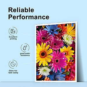 TEINO Remanufactured Ink Cartridges Replacement for HP 901 901XL 901 XL use with OfficeJet J4680 4500 J4580 J4550 J4680c J4500 J4540 J4624 J4660 J4640 J4524 (Black Tri-Color, 2-Pack)