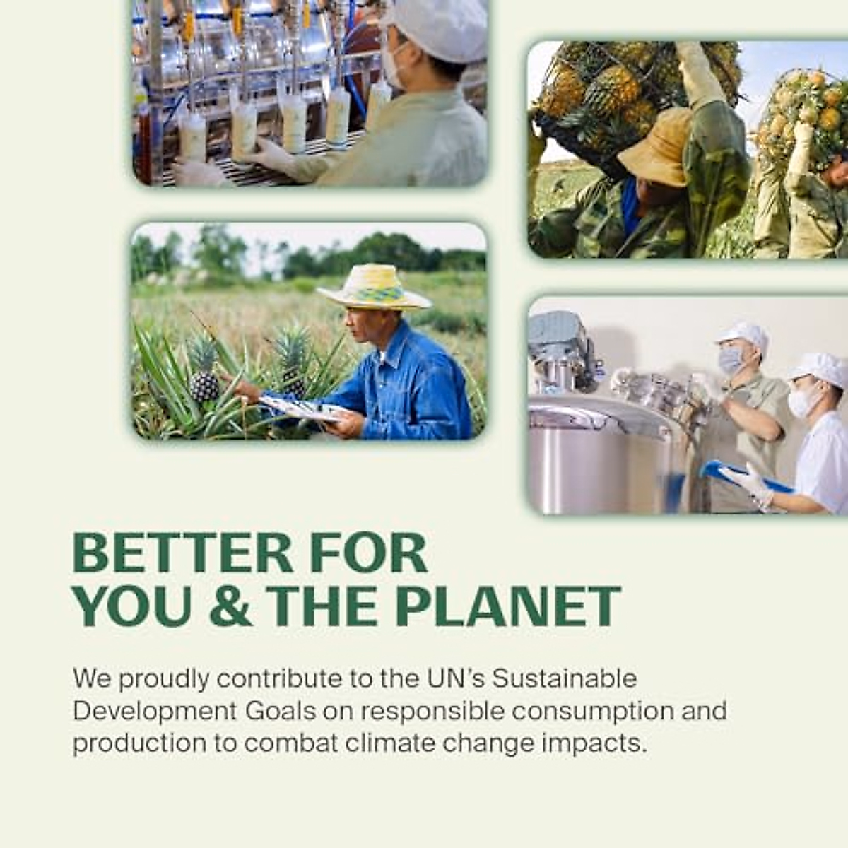 Fuwa3e Pineapple Enzyme Natural Dish Soap Tropical Pineapple Scent - 16.9oz 1 Pack - 99% Plant Based Dish Soap Liquid - Hypoallergenic Dish Soap from Discarded Pineapple Peels