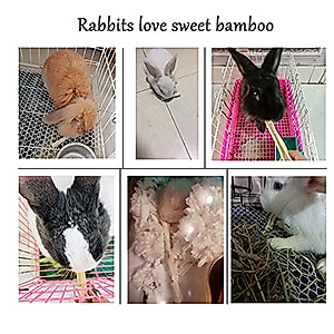 Hamiledyi Rabbit Litter Box Toilet, Pets Plastic Square Rabbit Cage Potty Trainer Corner with Small Animal Cage Clean Broom Molar Sweet Bamboo for Bunny Chinchillas Guinea Pigs (Blue)