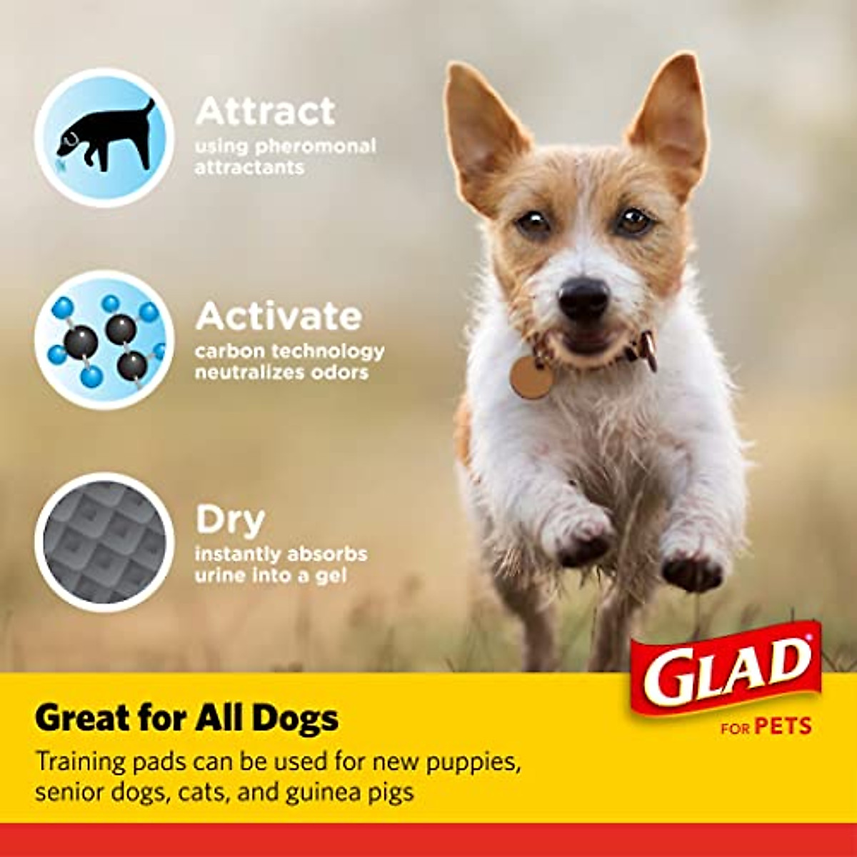 Glad for Pets Black Charcoal Puppy Pads 23" x 23" | Puppy Potty Training Pads That ABSORB & NEUTRALIZE Urine Instantly | New & Improved Quality Puppy Pee Pads, 100 count