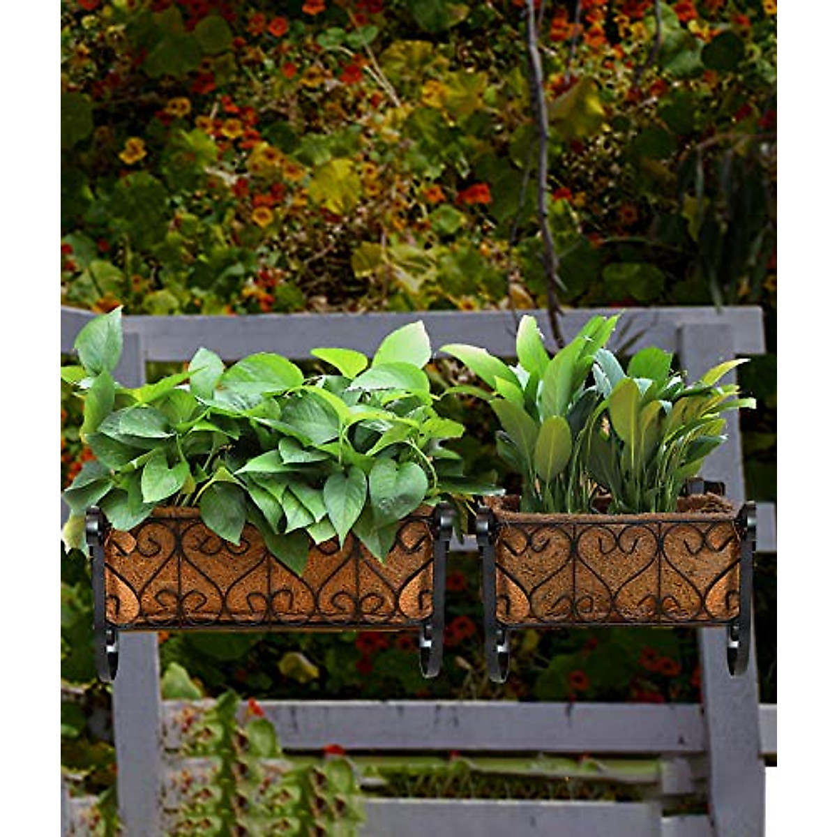 MorTime Iron Hanging Flower Rack Basket Shelf with Hooks, Railing Flower Pots Holder Black Metal Decorative Railing Shelf for Outdoor Garden Balcony Fence Patio