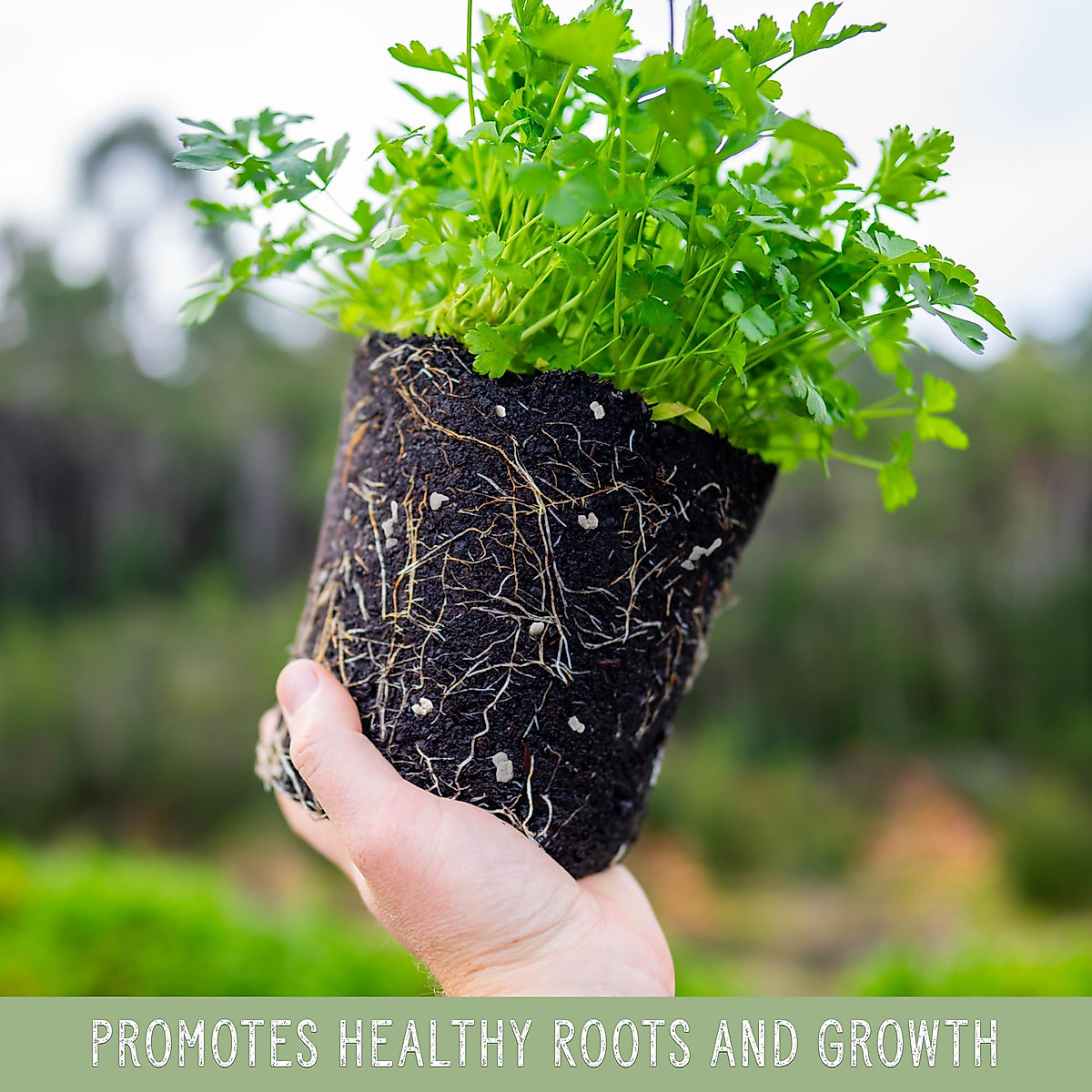 Horticultural Perlite Soil Additive (12 Quarts); for Enhanced Potting Mix Drainage and Growth