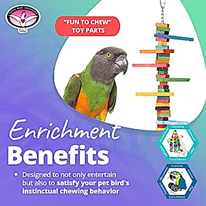 Super Bird Creations SB466 Mini Triangle Teaser Bird Toy, Medium Bird Size, 16" x 3" x 2"