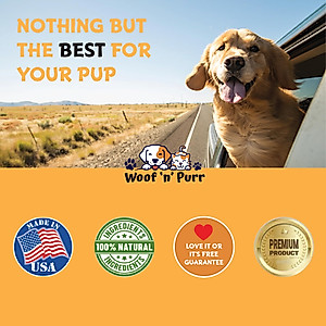 Natural Yeast Infection Treatment for Dogs - Helps to Support Itching Relief, Allergy Relief, Inflammation Relief & More - Itch Relief for Dogs - Dog Ear Infection Treatment - Dog Itch Relief - 1 oz