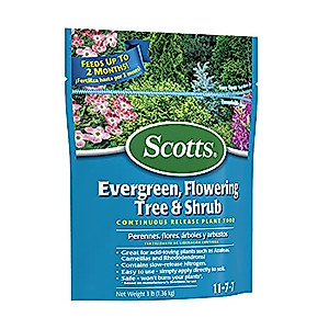 Scotts Evergreen Flowering Tree & Shrub Continuous Release Plant Food 3-Pound