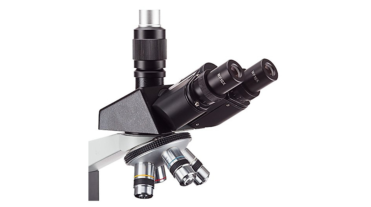 AmScope T490B Trinocular Microscope - 40X-2000X Magnification