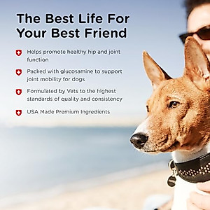 Nutri-Vet Hip & Joint Chewable Dog Supplements - Formulated with Glucosamine & Chondroitin for Dogs - 75 Count