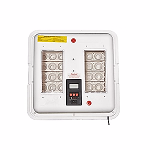 Little Giant® Digital Circulated Air Incubator with Automatic Turner | 41 Eggs | Egg Incubator with Fan and Egg Turner