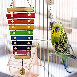 DUJIAOSHOU Wooden Bird Toys，Toys Educational Training Creative Block Discolored Intelligence Toys for Parrot Parakeet (B Toys)