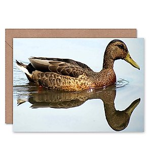 Wee Blue Coo CARD GREETING BIRTHDAY SWIMMING BROWN DUCK GIFT