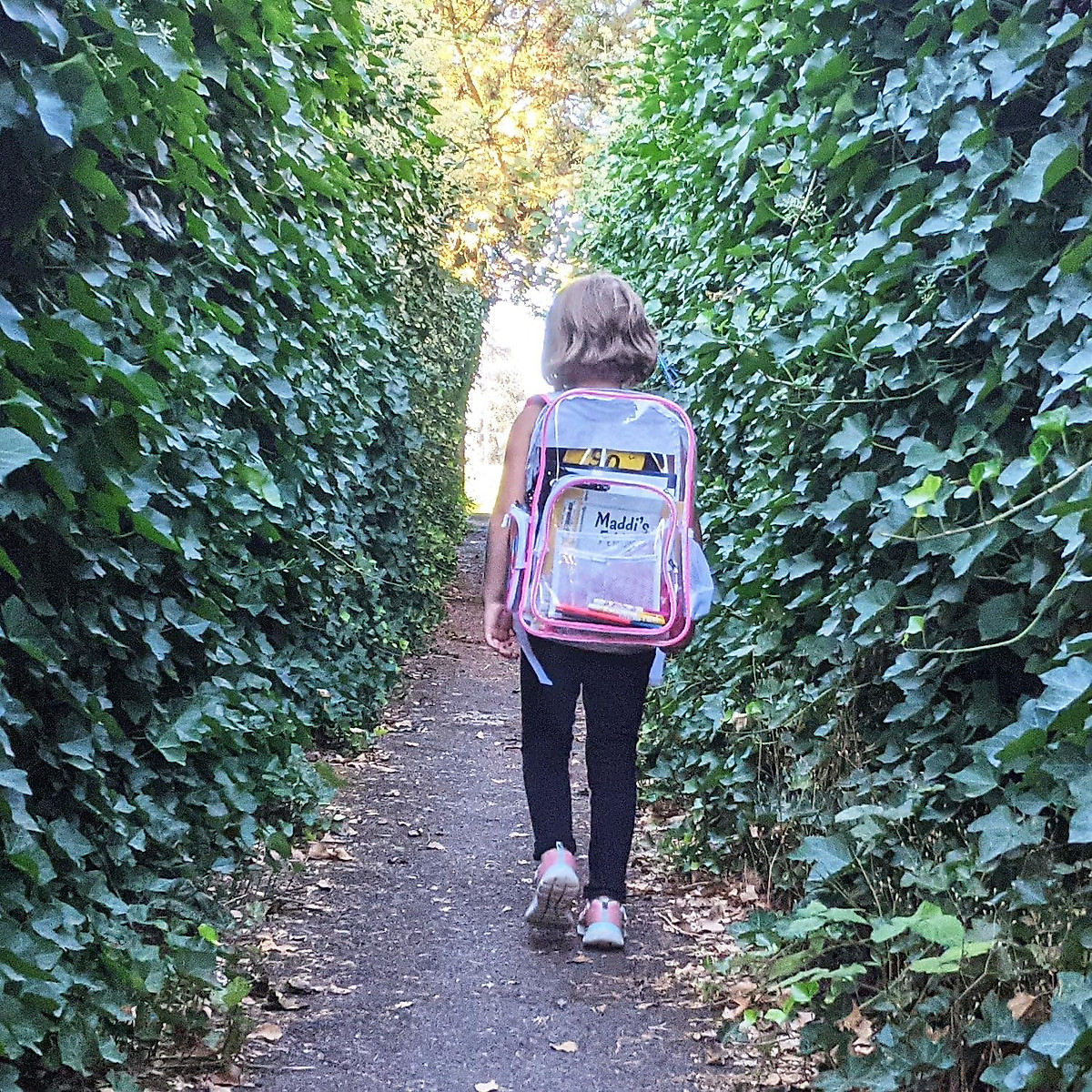 Meister All-Access Clear Backpack - Meets School & Event Security Bag Requirements - Pink / White