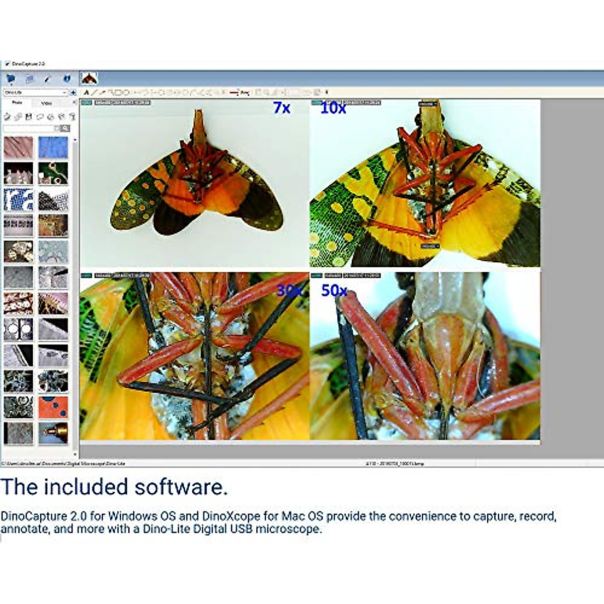 Dino-Lite USB Digital Microscope AM2111-0.3MP, 10x - 50x, 230x Optical Magnification, 4 LEDs