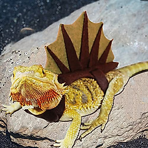 Vehomy Bearded Dragon Dinosaur Outfit Lizard Reptile Dinosaur Costume Handmade Felt Bearded Dragon Harness Bearded Dragon Lizard Accessories for Chameleon Gecko Anole Iguana Amphibians L
