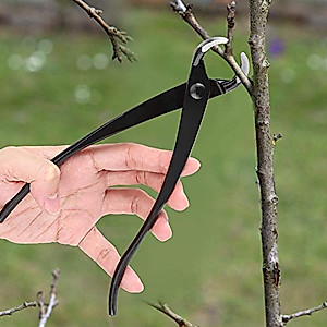 Bonsai Concave Branch Cutter, 204mm / 8.03in Zinc Alloy Knob Branch Cutter with Round Household Gardening Bonsai Tools Round Knob Cutter for Home Garden Use, Black