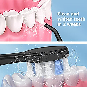 Electric Toothbrush with Water Dental Flosser, 4H Charge 30 Days Use, 4 Modes Cordless Dental Flosser Picks, 3 Modes Sonic Electric Toothbrush, 4 Brush Heads and 4 Water Jet Tips