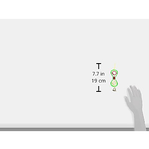 JW Pet Company Activitoys Hour Glass Mirror Bird Toy