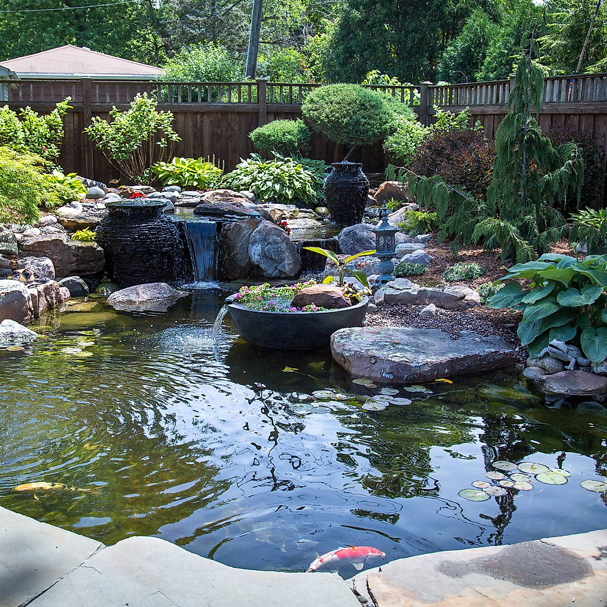 Aquascape 29312 Granular Algaecide for Pond, Waterfall, and Stream EcoBlast, 2.4 Pounds, White